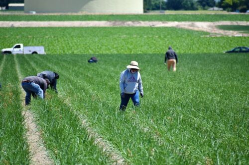 Panel Report: Forced Labor Around the World - National Interest Foundation